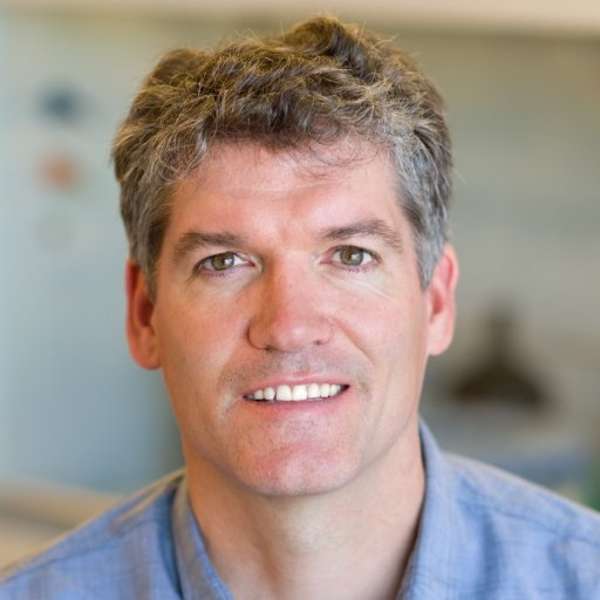 Opinion | Someone has been illegally growing cannabis at the Vancouver ...