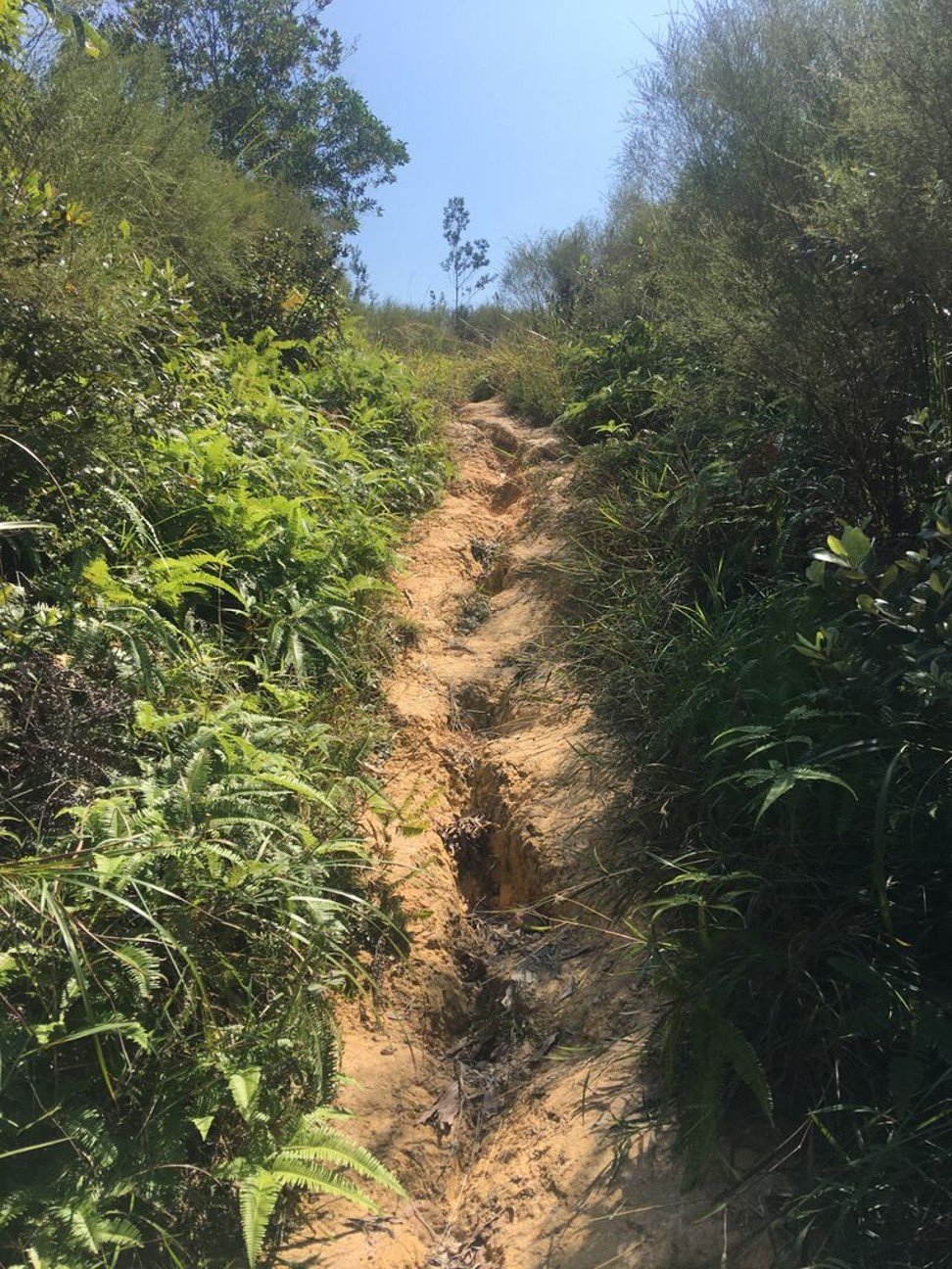 Could a hiking pole ban protect Hong Kong’s country park trails, some ...