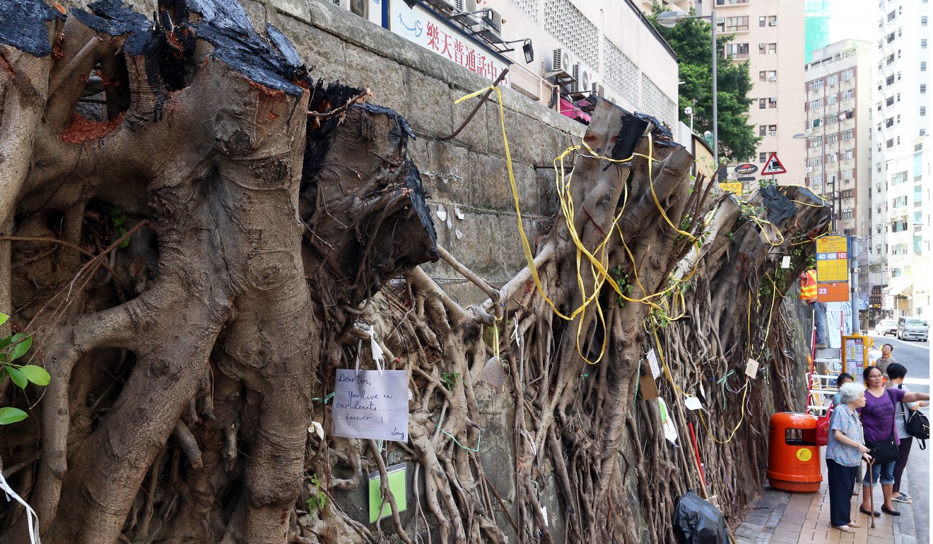 Is there a better way to manage Hong Kong’s iconic, centuries-old stone ...