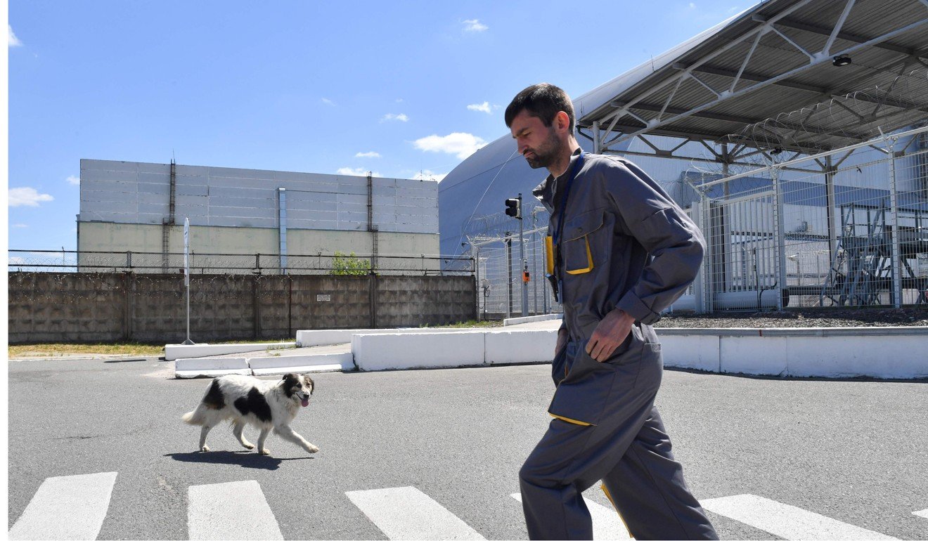 Atomic dogs: Chernobyl’s strays being groomed for new life in US ...