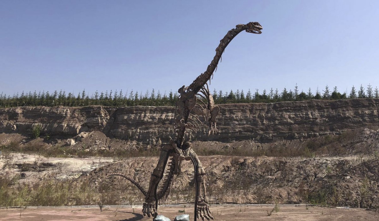 China’s dinosaur expert digs up the prehistoric links with modern birds ...