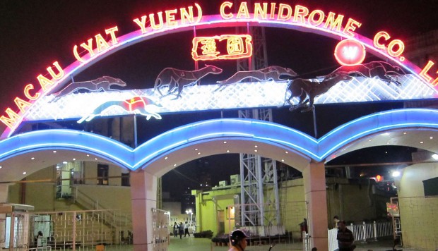 Macau’s dog racing track given ultimatum as city upgrades its mass ...