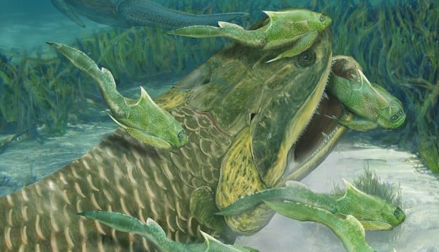 China’s monster fish fossil reignites tetrapod evolution debate | South ...
