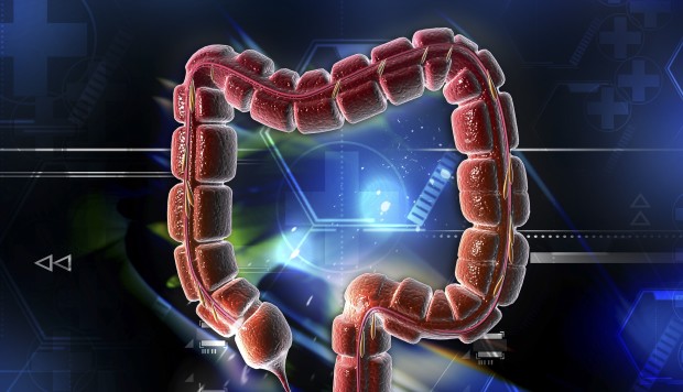 Why the microbes in your poo could one day help people to lose weight ...