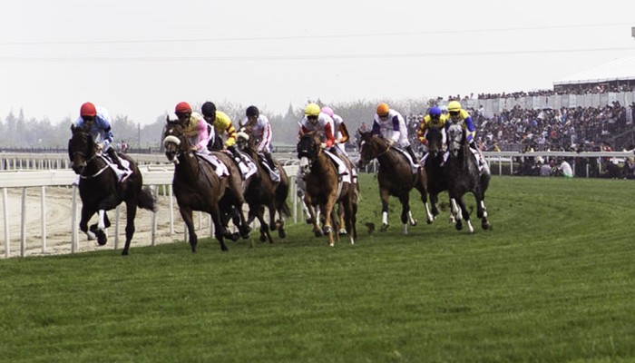 Hong Kong Jockey Club to stage first race meeting in mainland China ...