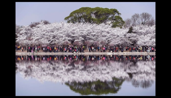 In The PINK | South China Morning Post