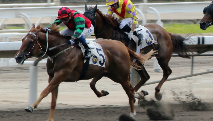 John Moore gets ‘challenging’ gelding Just Not Listening over the line ...