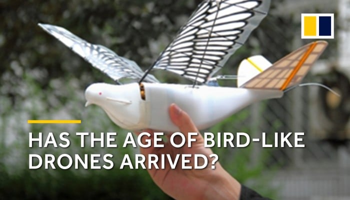 Has the age of bird-like drones arrived? | South China Morning Post