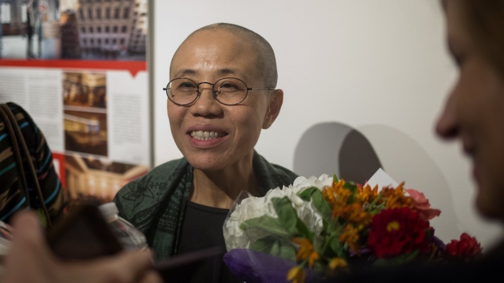 Liu Xia talks about Liu Xiaobo, thanks supporters for their concern at ...