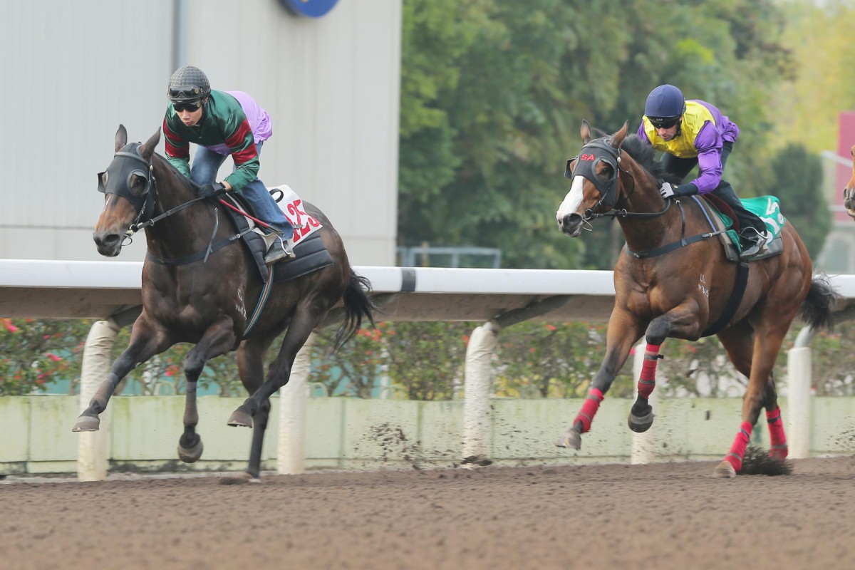Delight in Harbour after trial improvement | HK Racing | South China ...