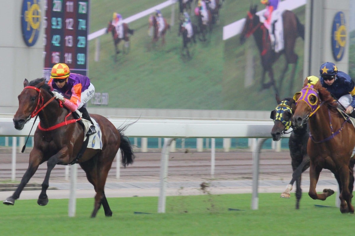 Youngsters stamp credentials for fast finisher Shum | HK Racing | South ...