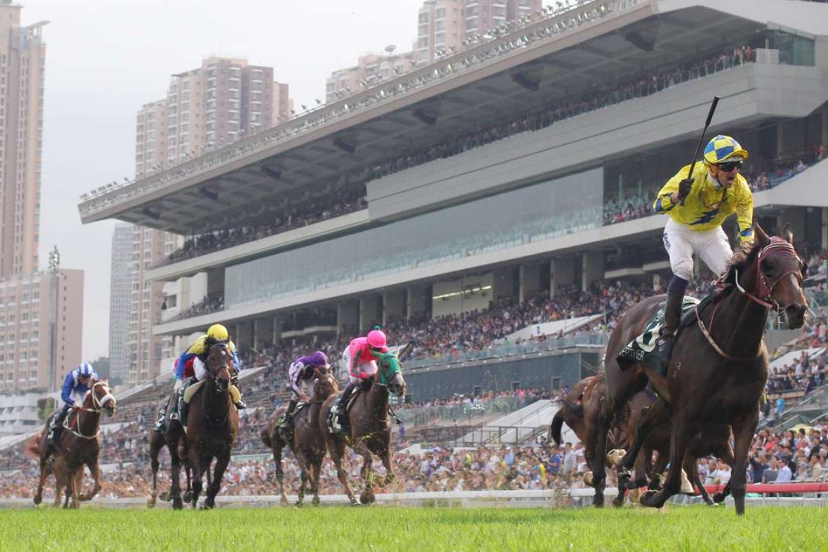 Apart from Werther probably winning Horse Of The Year, it’s hard to ...