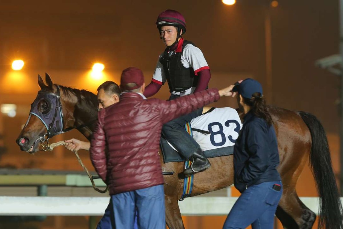 John Moore is chasing an invitation to Dubai for Werther | HK Racing ...
