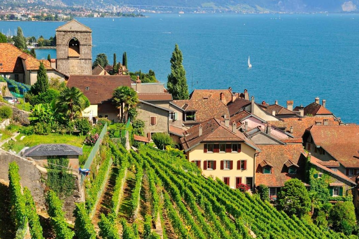 Three fine Swiss wines from Lavaux in the Vaud by Domaine du Daley ...