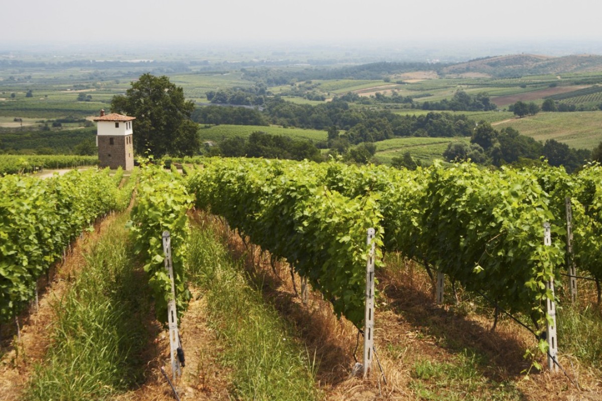 Greek wine’s rich history and recent rebirth, and a sampling from one ...