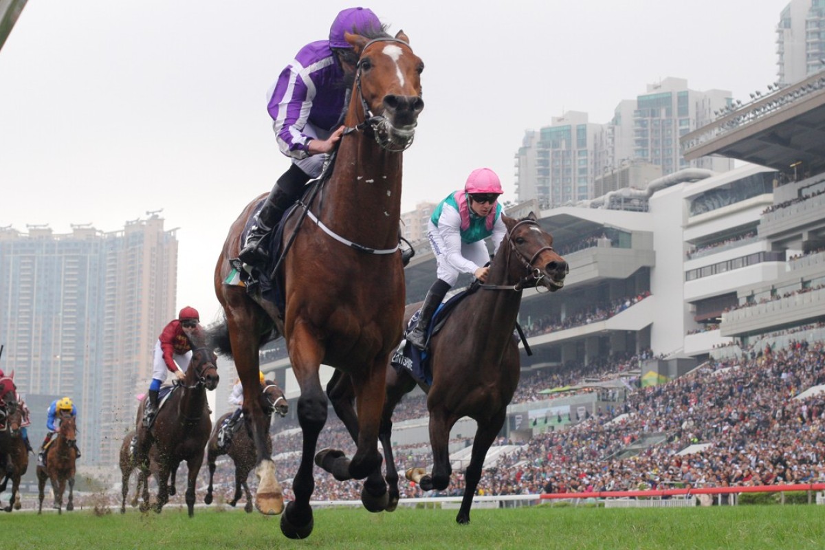 Highland Reel can go out on a high in the Longines Hong Kong Vase | HK ... Highland Reel can go out on a high in the Longines Hong Kong Vase | HK ...
