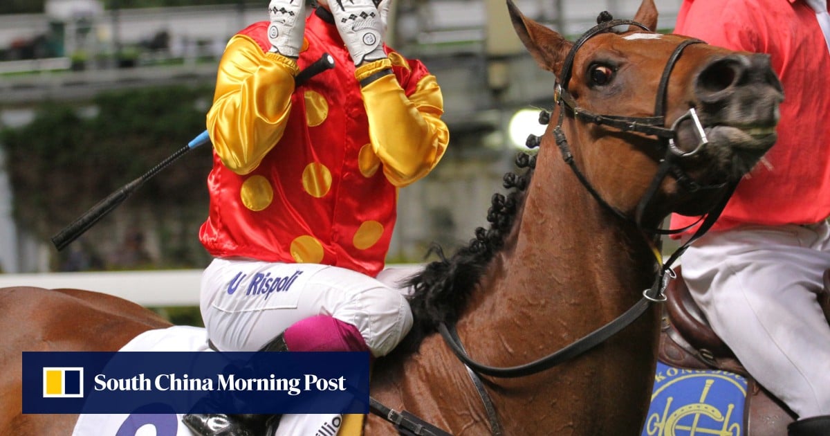 Reap further gold from Harvest | HK Racing | South China Morning Post