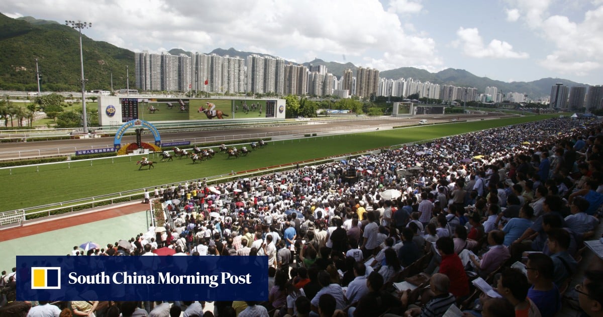 Why horse racing in Hong Kong is a different beast entirely | HK Racing ...