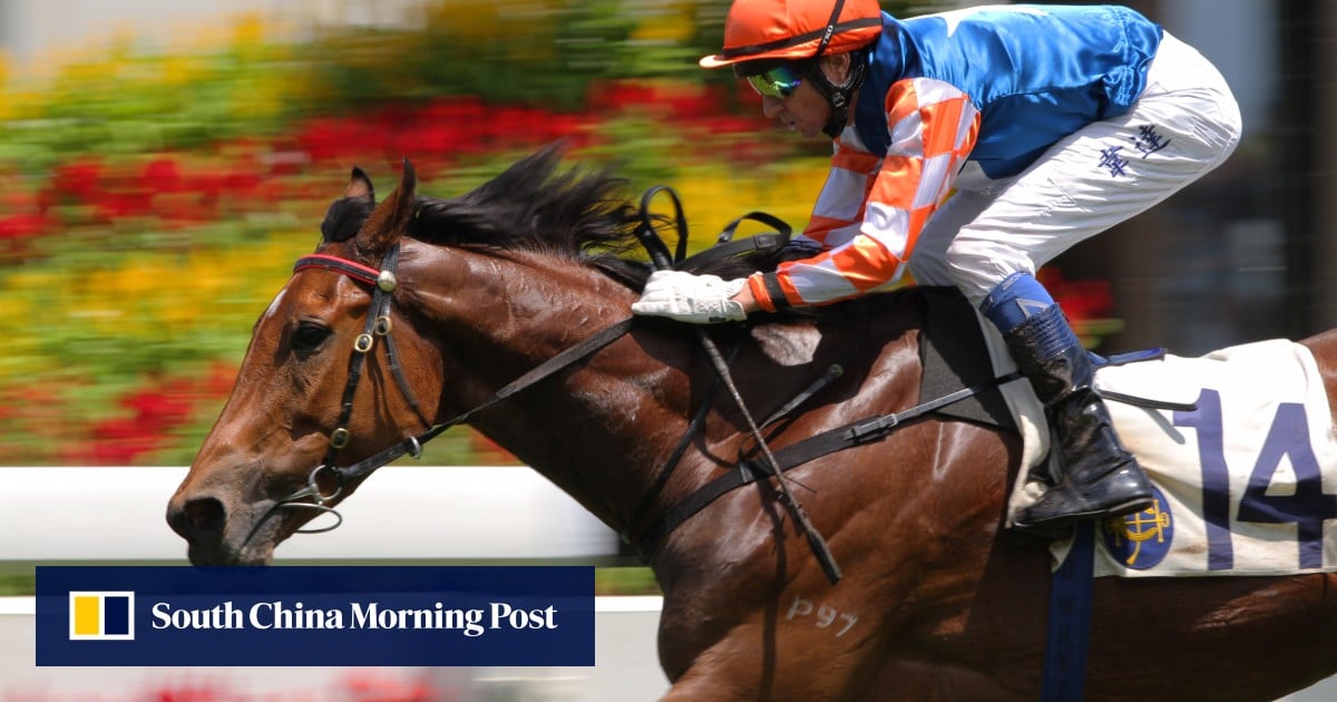 Sharp Lui looks forward after commanding double | HK Racing | South ...