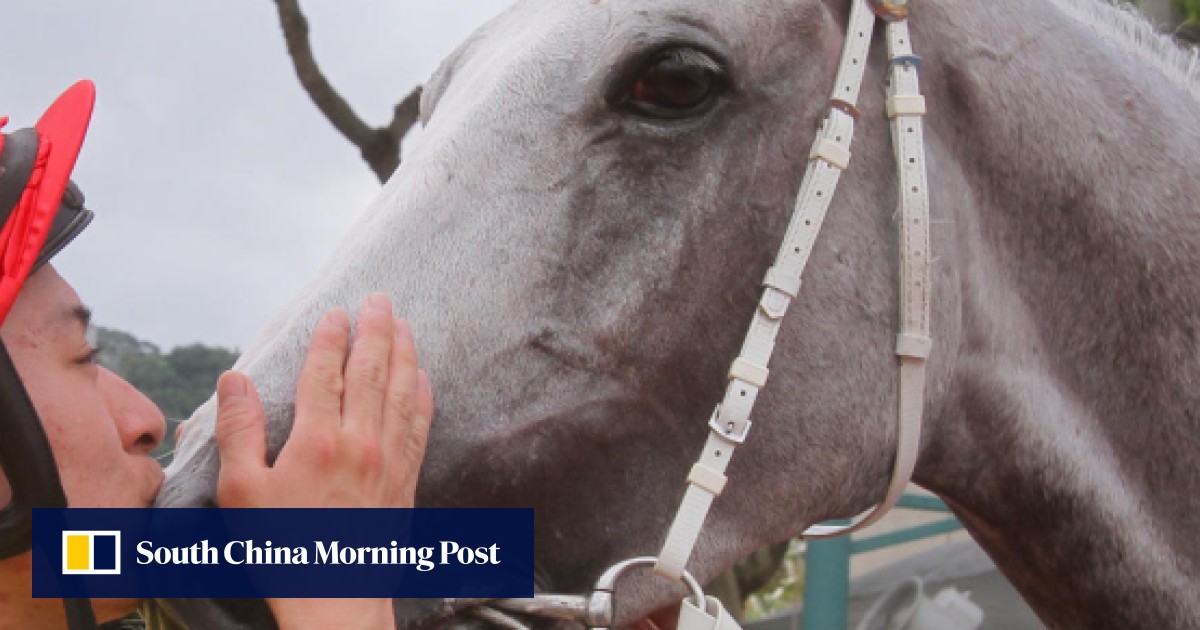 Owner Howard Liang Yum-shing dreaming of greener pastures for champion ...