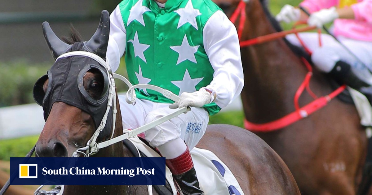 Alan Aitken’s 10 horses to follow for the 2016-17 Hong Kong racing ...