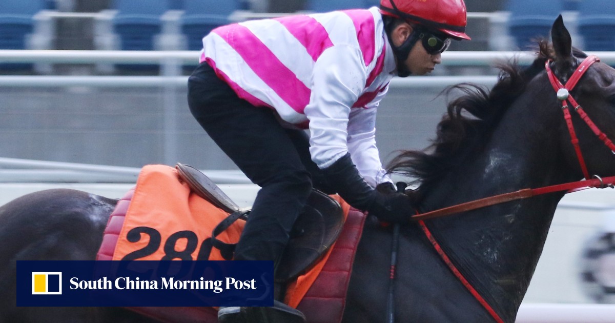 Danny Shum’s four-year-old can provide punters with a Quick Return | HK ...