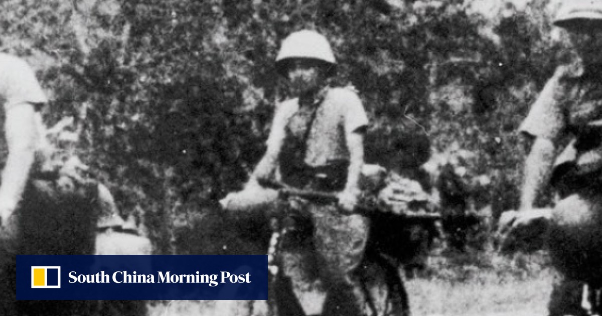 The Stolen Bicycle: Wu Ming-yi expertly weaves a narrative of Taiwan ...