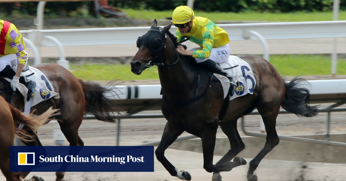 John Moore gets ‘challenging’ gelding Just Not Listening over the line ...