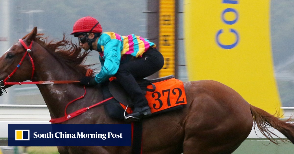 Hong Kong Jockey Club confirms date for historic mainland China race ...