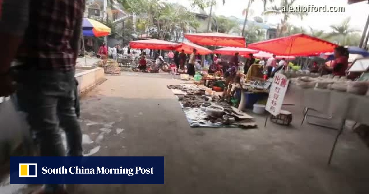 A market in Mong La, Myanmar on the border with China | South China ...