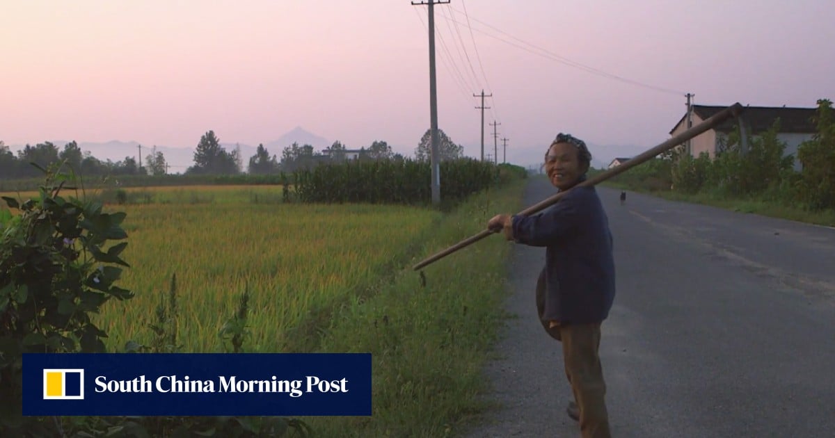 Down to the Countryside: A return to rural life in China | South China ...