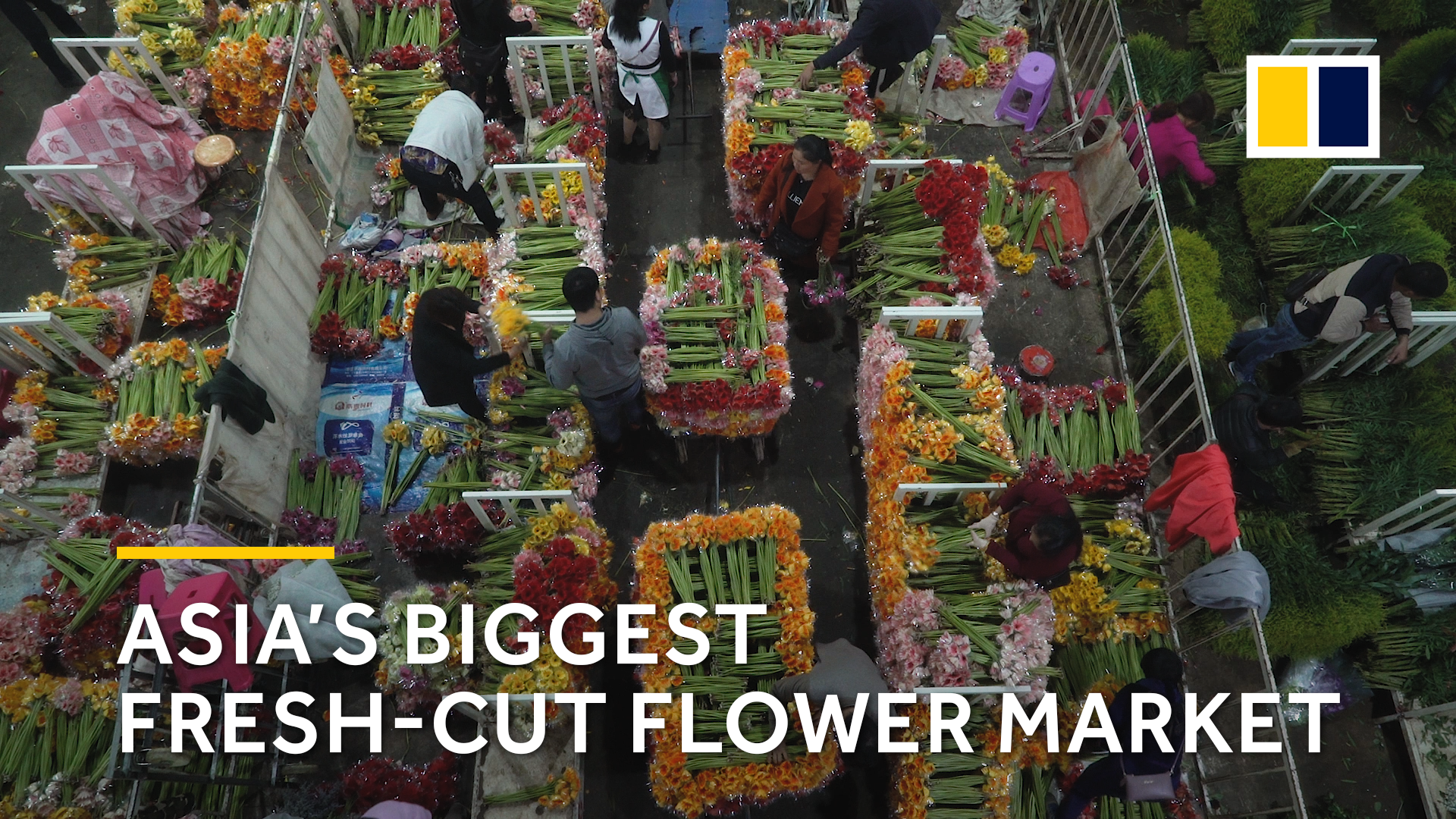 The giant Chinese flower market aiming to be a blooming world wonder ...